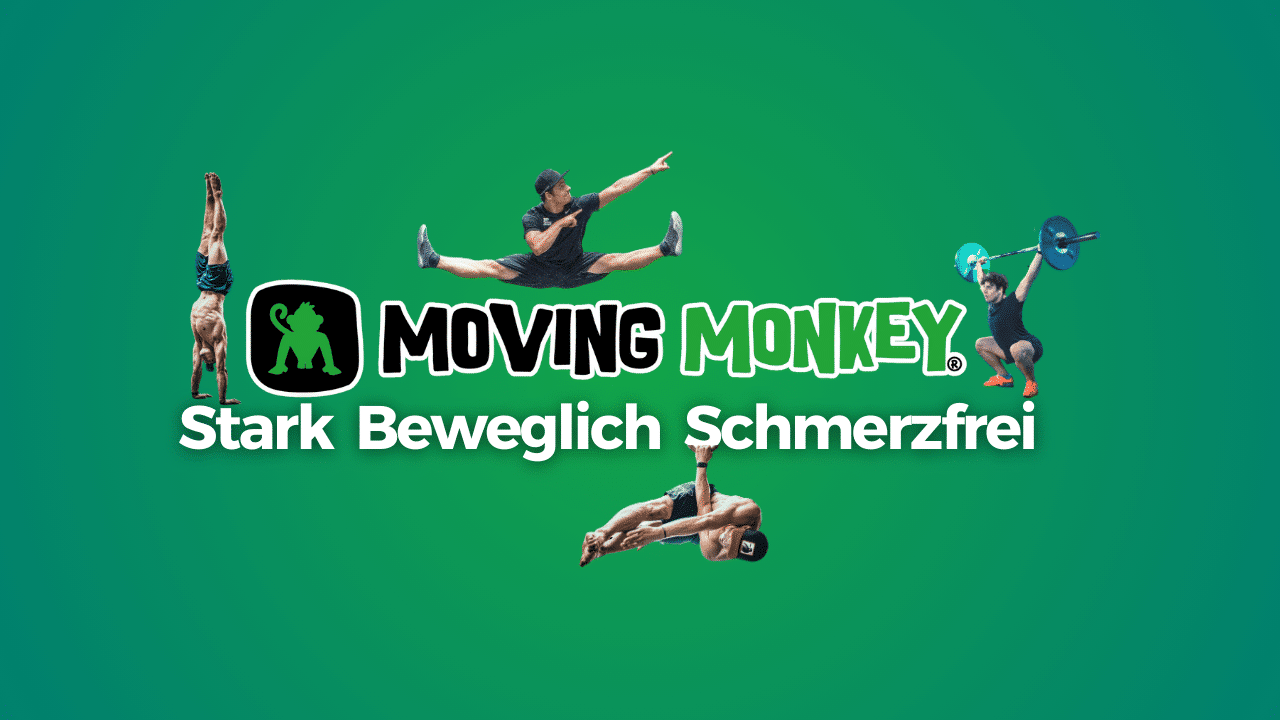 Über Moving Monkey - Moving Monkey®